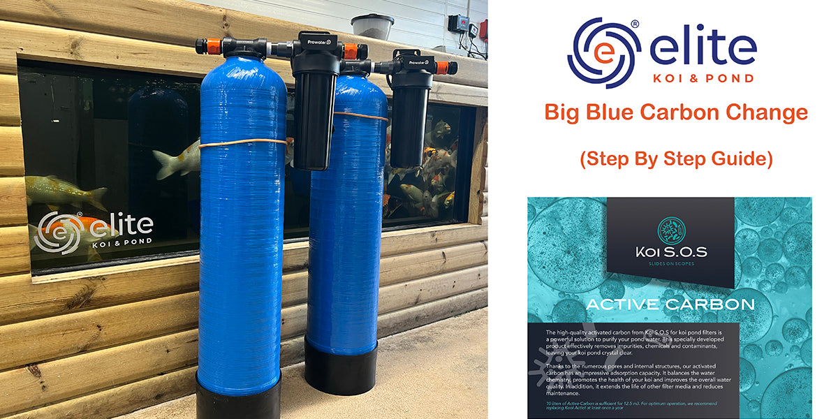 Make tap water safe by removing Chlorine before adding to fish ponds ...