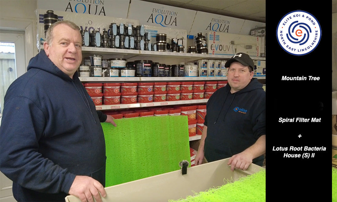 Optimal Filter Setups - Using Mountain Tree spiral media in a Koi pond