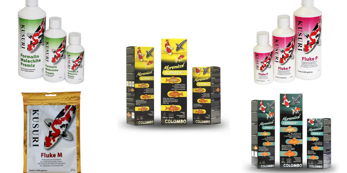 Help, I Have a Parasite in my Pond! Choosing The Correct Koi Parasite ...