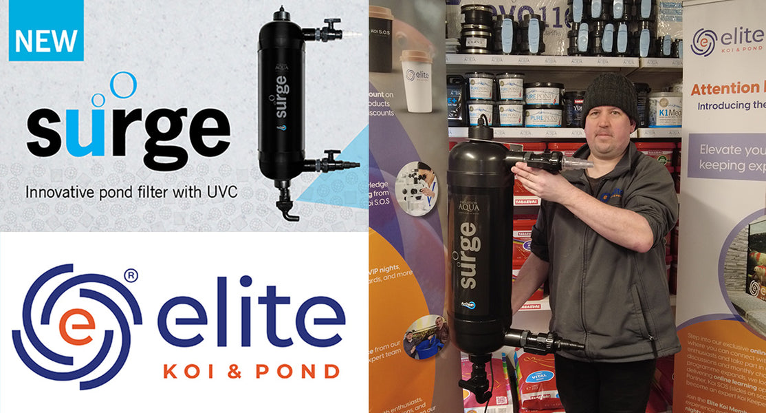 ⭐️NEW⭐️ - Evolution Aqua Surge Filter — Elite Koi