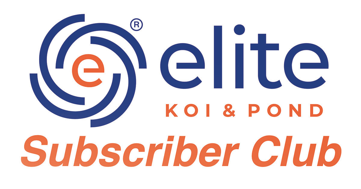 Elite Club (12-month Subscription)